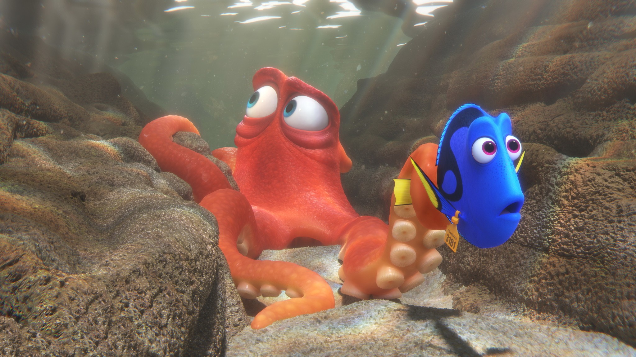 UW advises Pixar on ‘Finding Dory’ | The Journal of the San Juan Islands