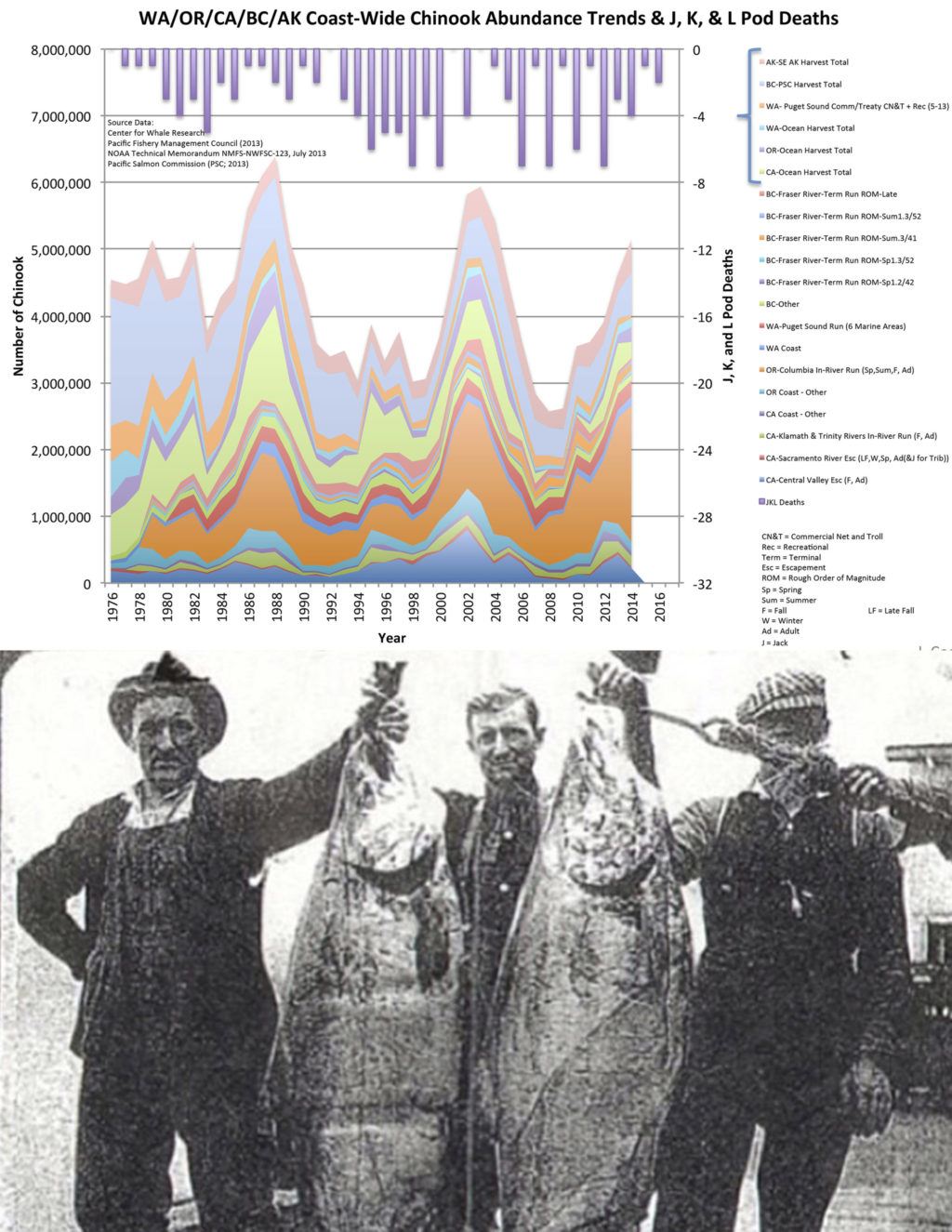 Where have all the salmon gone? | The Journal of the San Juan Islands