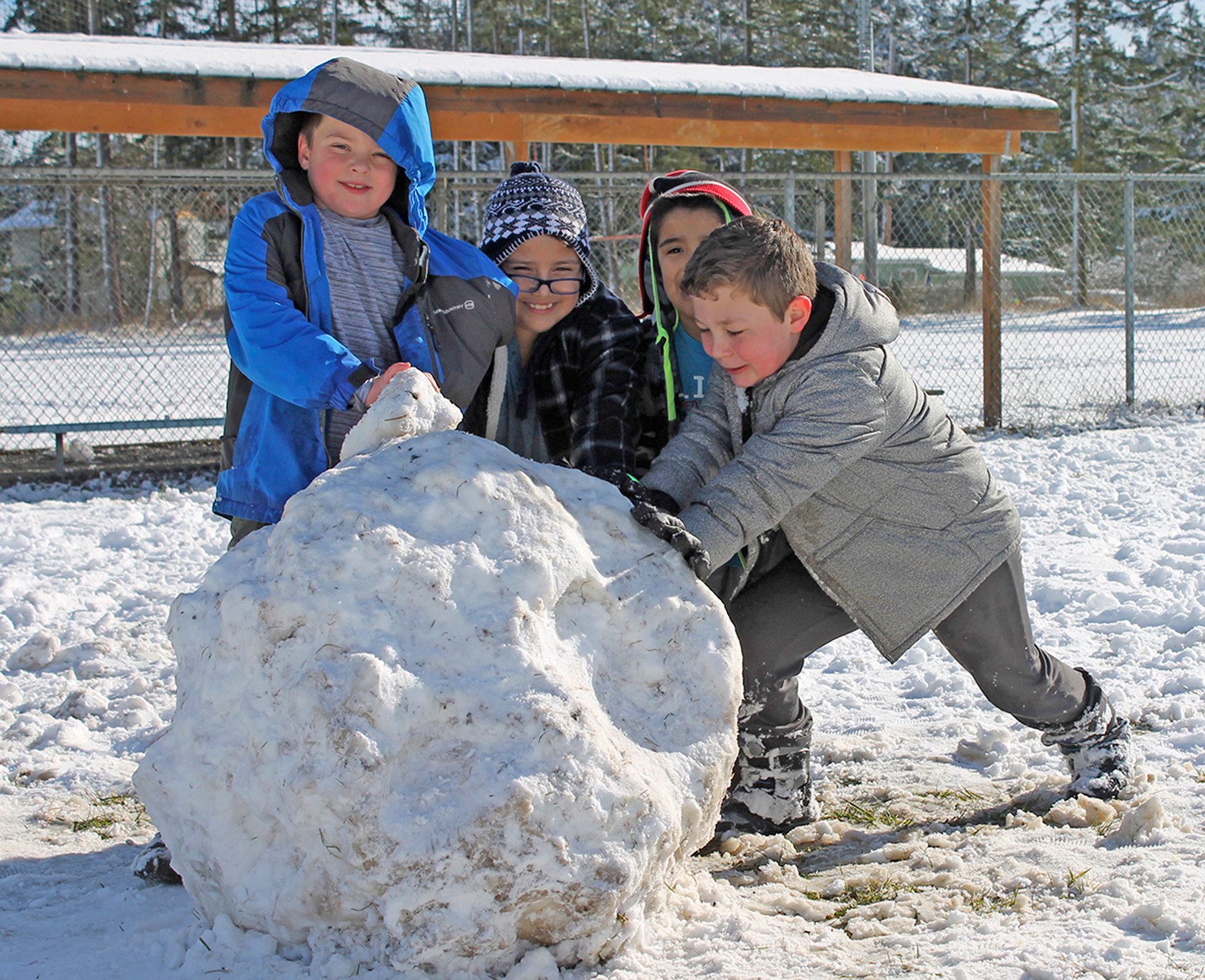 San Juans snowpocalypse | The Journal of the San Juan Islands
