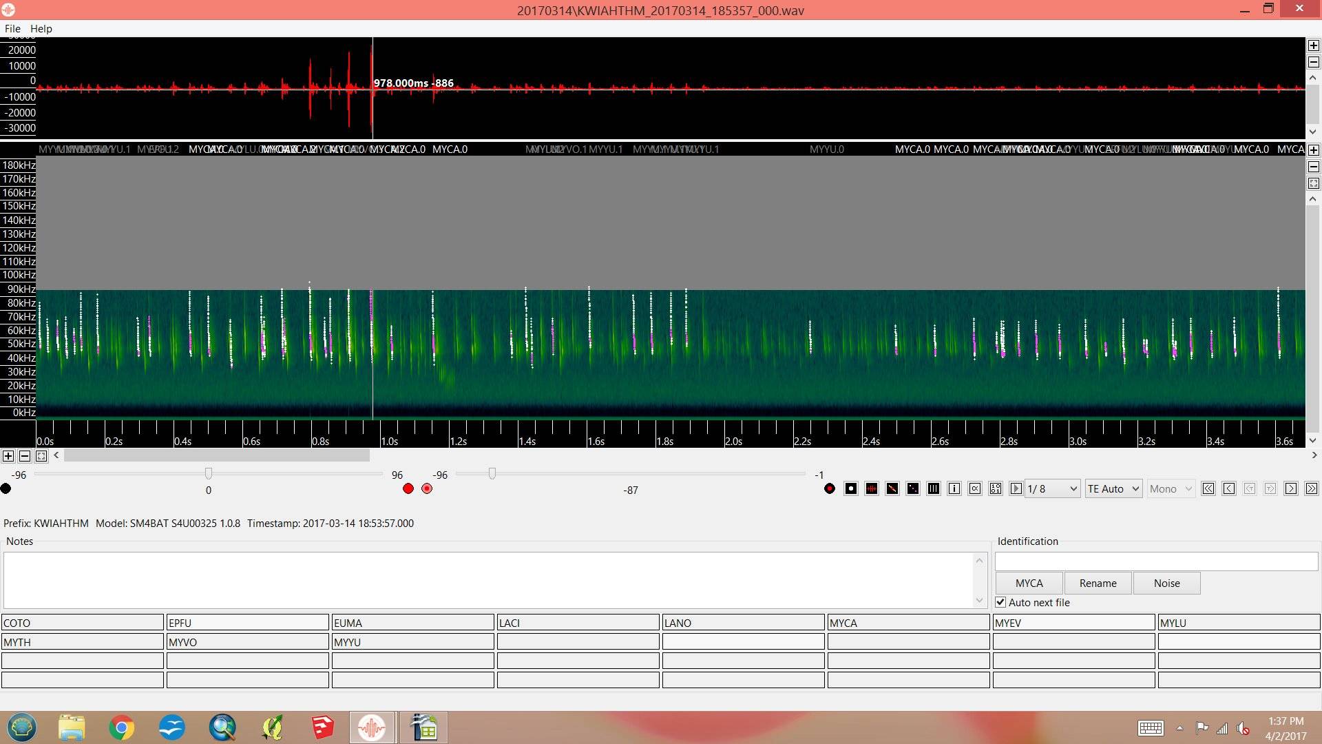 Holy bat grid! Kwaiht tracks bats’ seasonal, flight patterns | The ...