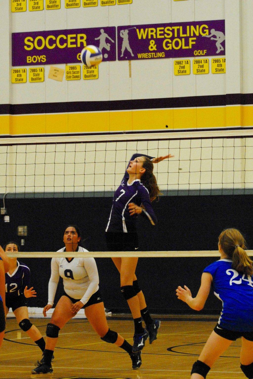Wolverines volleyball team plays hard at playoffs | The Journal of the ...