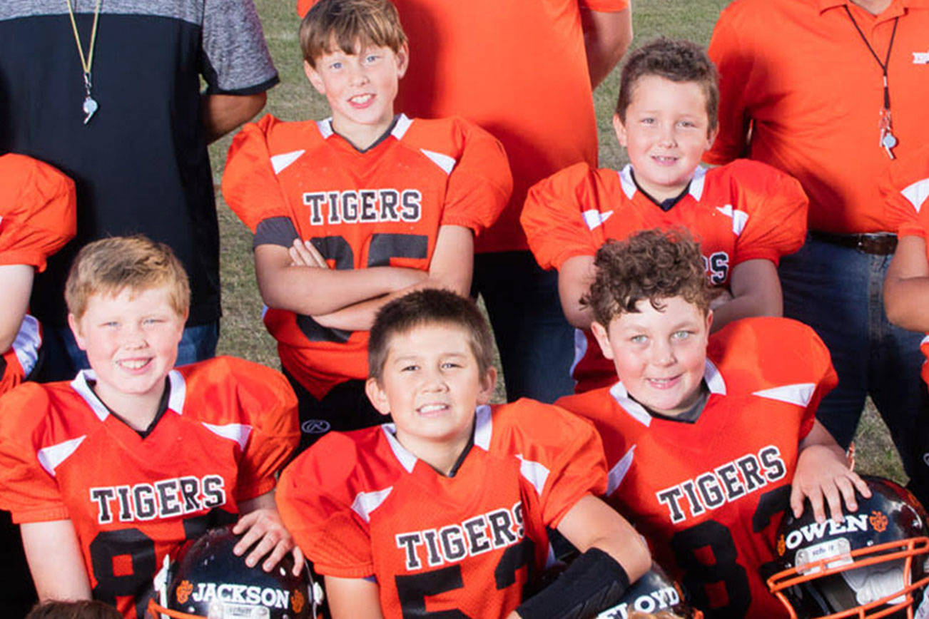 Youth Tigers go to playoffs | The Journal of the San Juan Islands