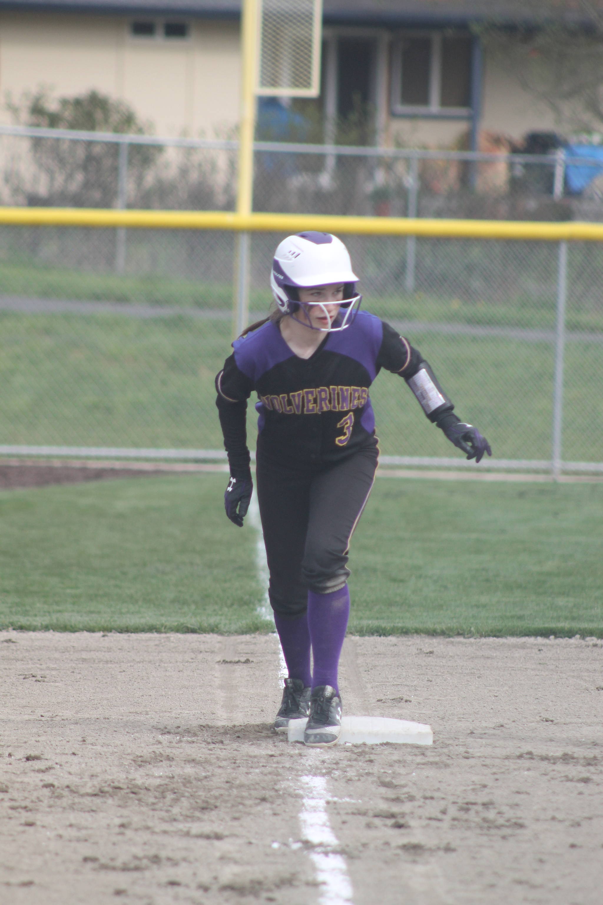 Wolverines softball winning streak | Update | The Journal of the San ...