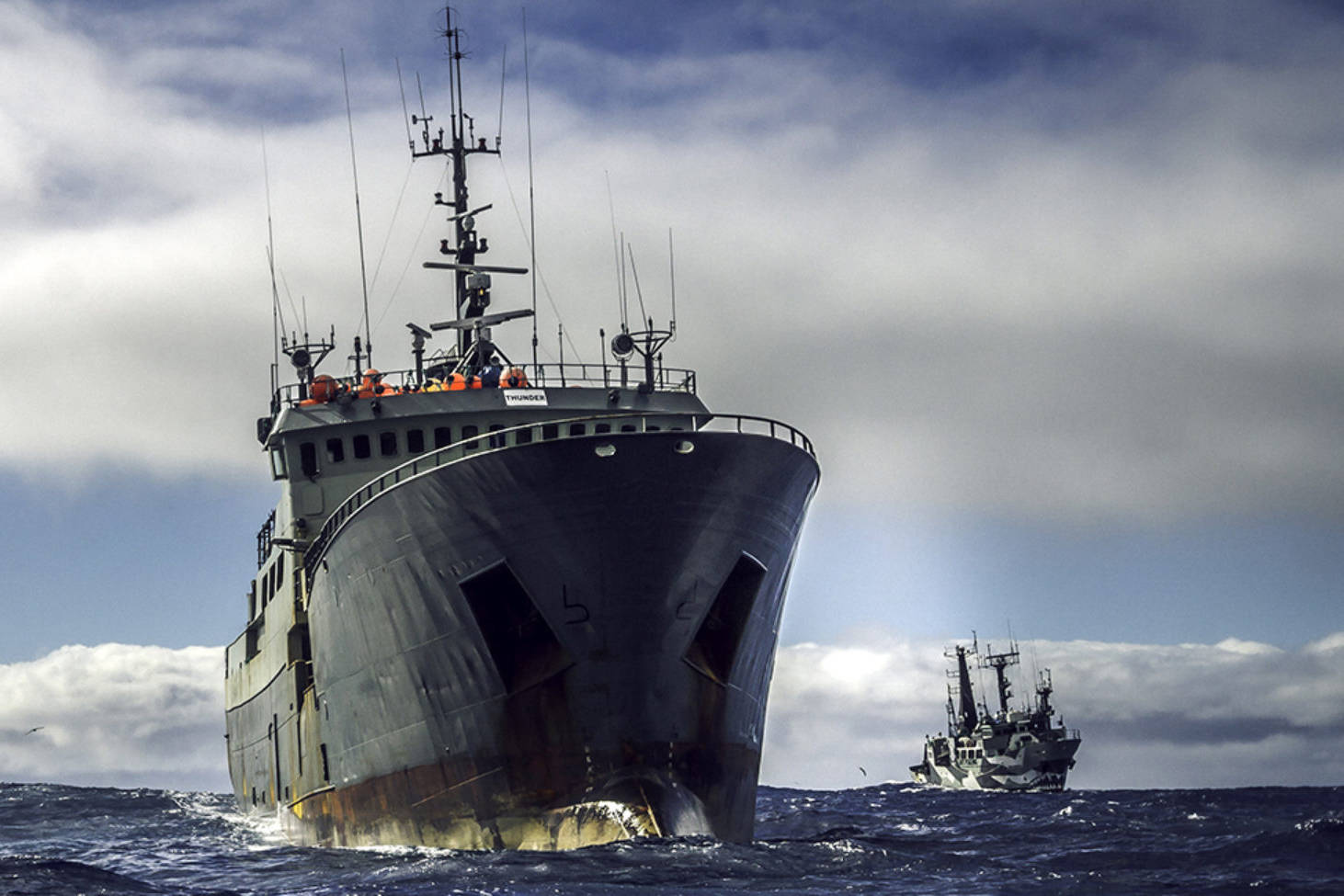 FHFF Best of the Fest: ‘Ocean Warriors Chasing the Thunder’ | The ...