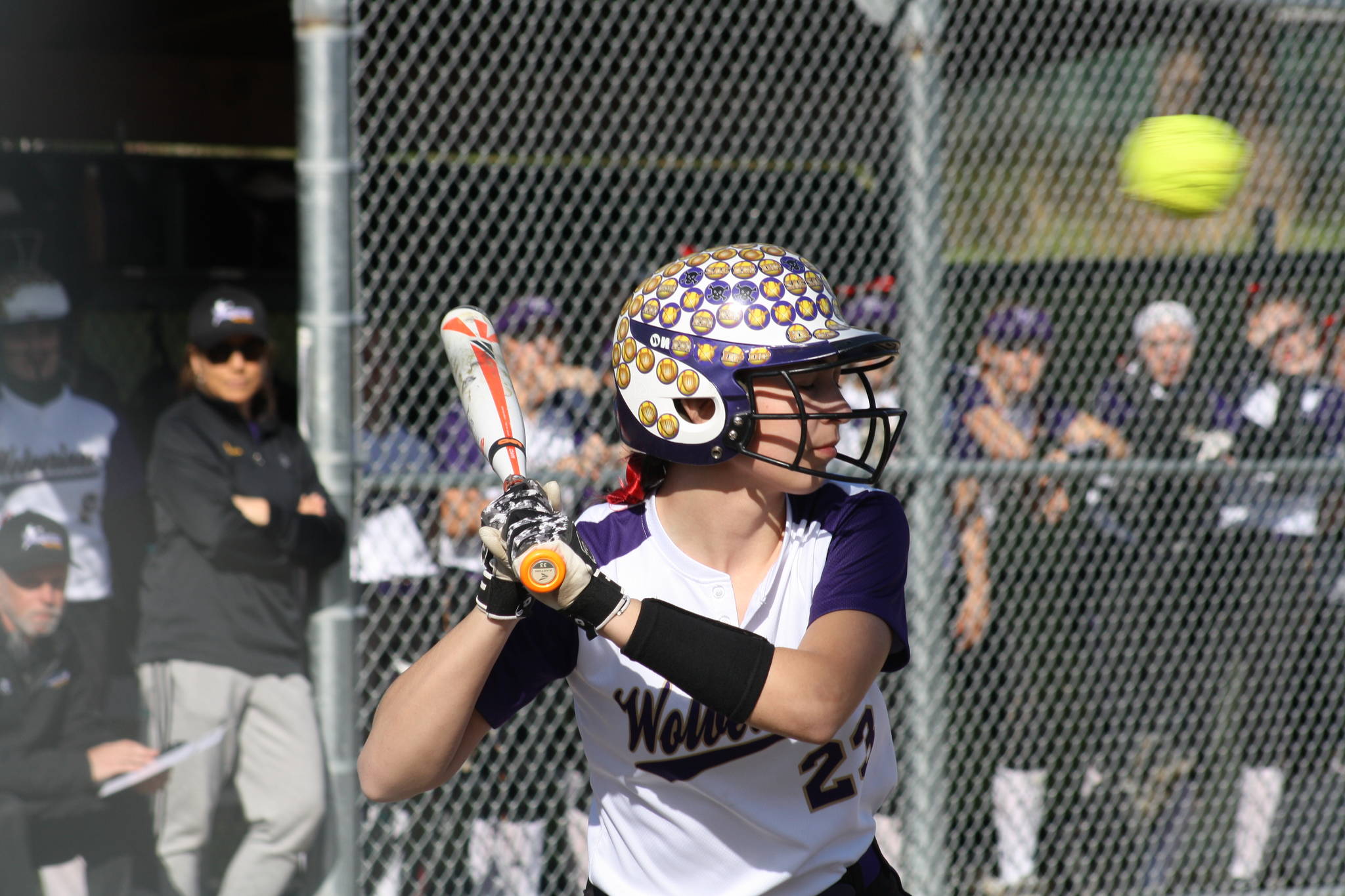 Wolverines softball beats the Braves | The Journal of the San Juan Islands