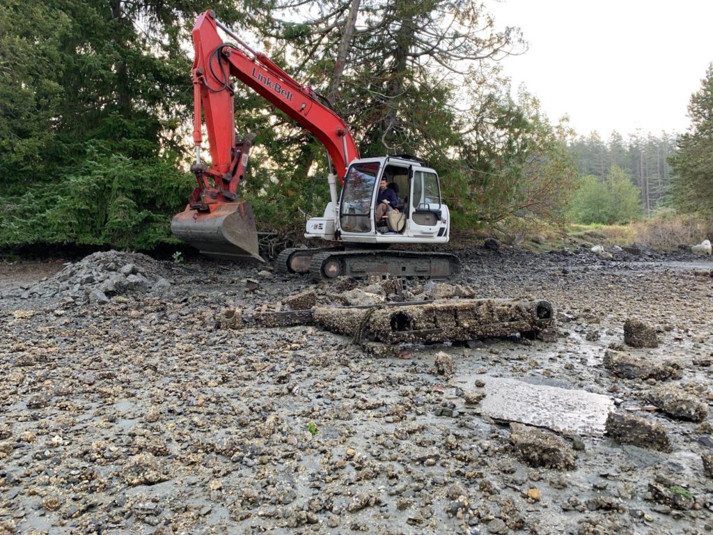 Restoring forage fish habitat | The Journal of the San Juan Islands