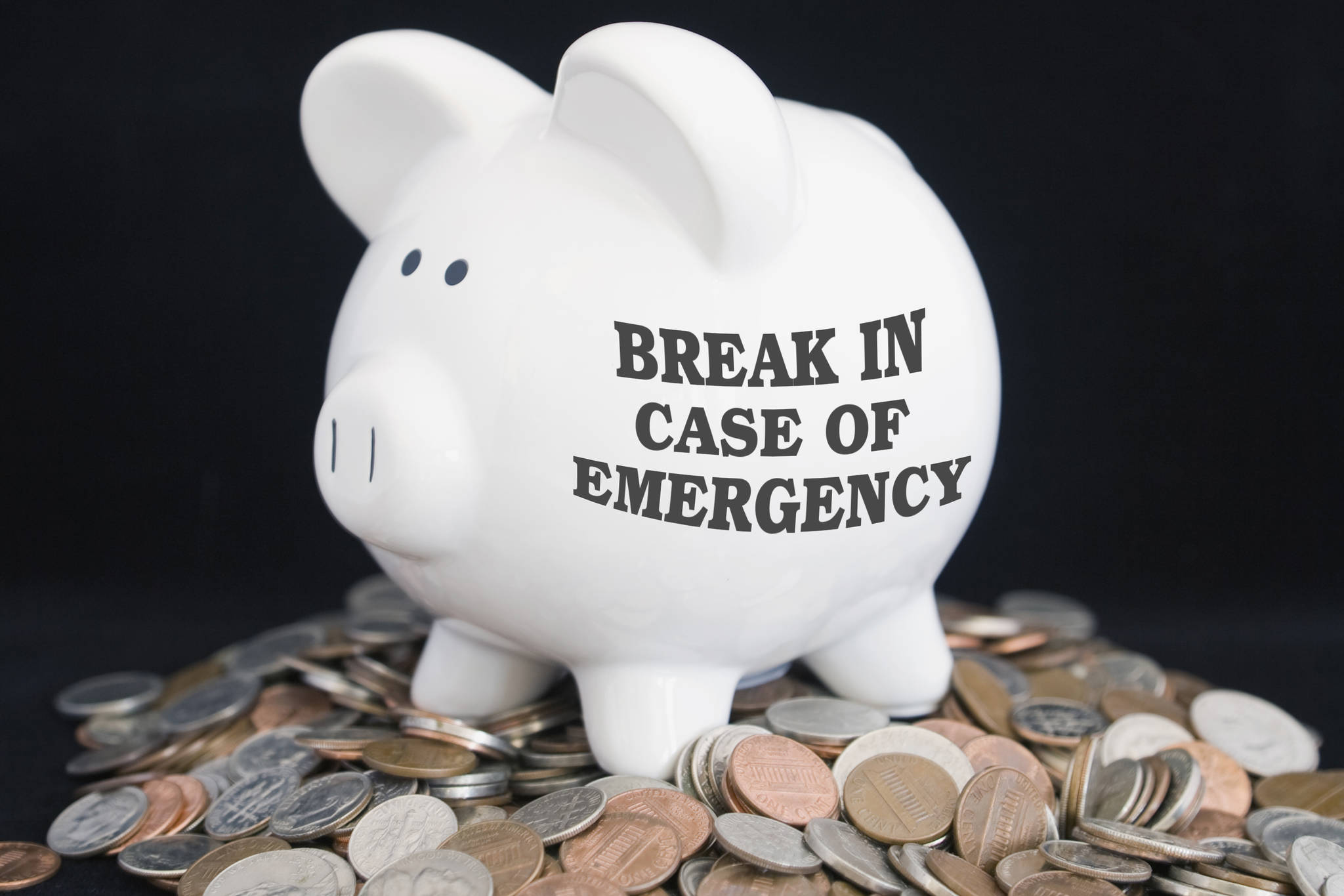 SJICF creates Emergency Response Fund | The Journal of the San Juan Islands