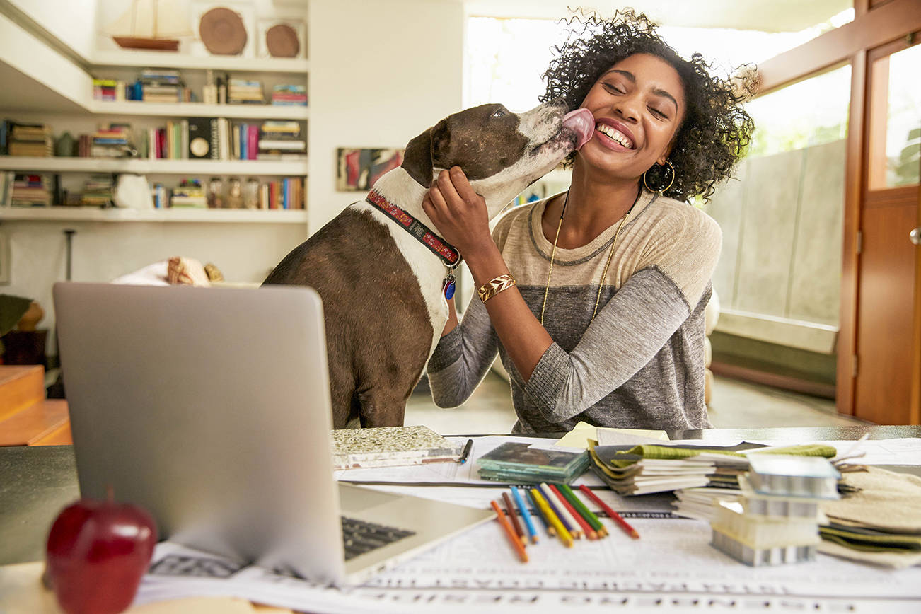 Coping with COVID-19 anxiety and stress | The Journal of the San Juan ...