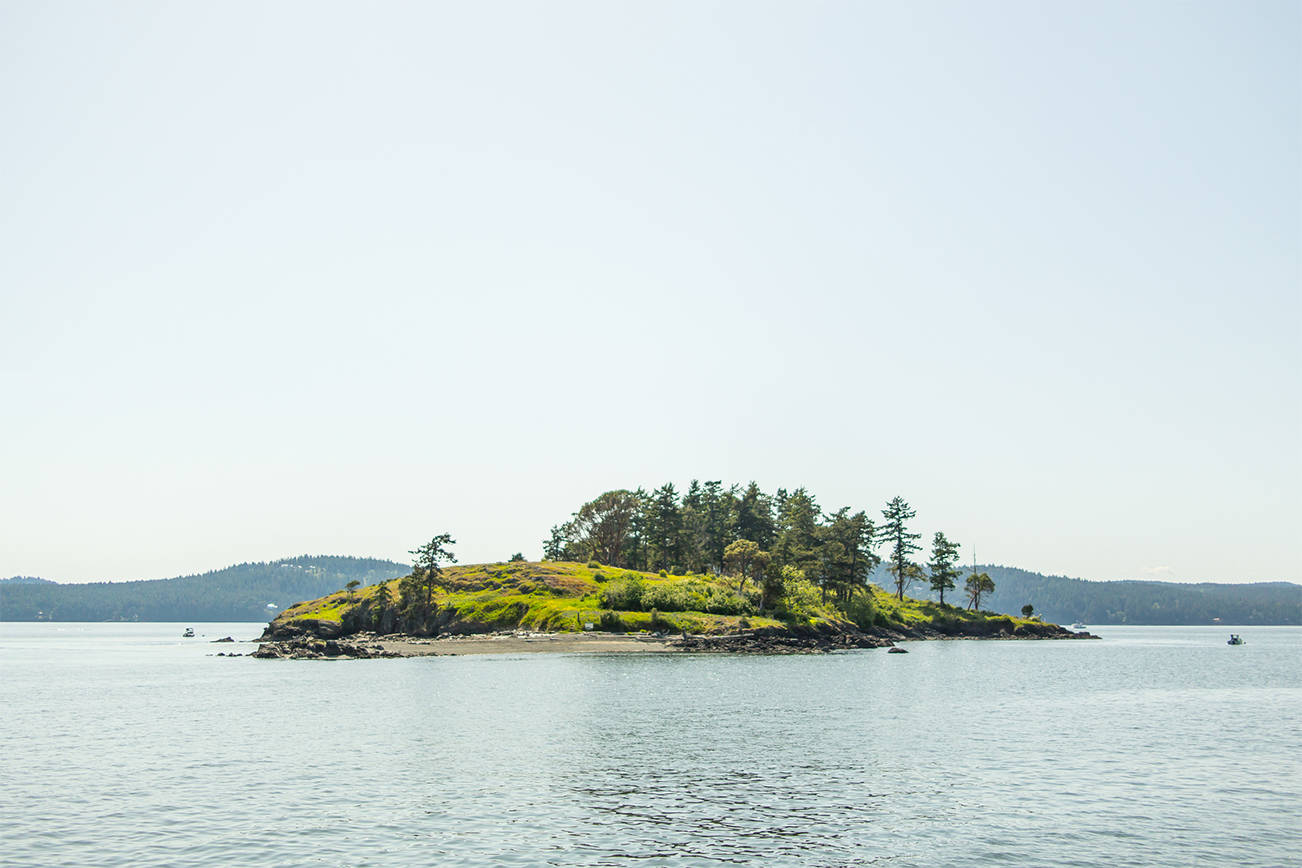 Yellow Island remains closed due to COVID-19 | The Journal of the San ...