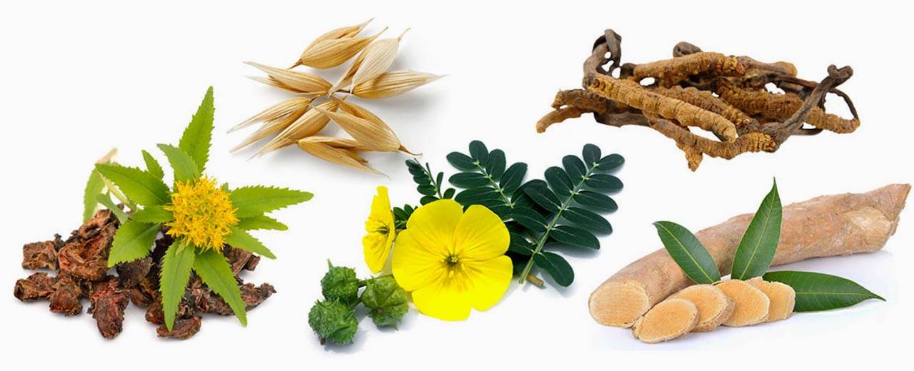 Jaylab Pro T20 Review: Boost Natural Testosterone Production | The ...