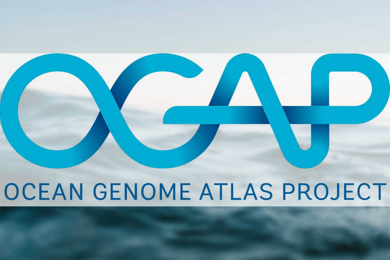 Research vessel visiting in Friday Harbor Labs in September | The ...