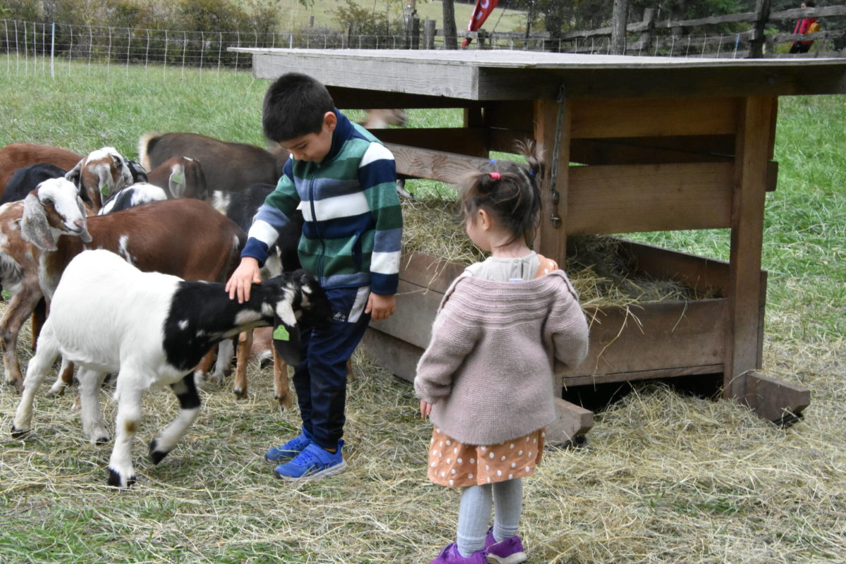 Giving thanks for island farms | The Journal of the San Juan Islands