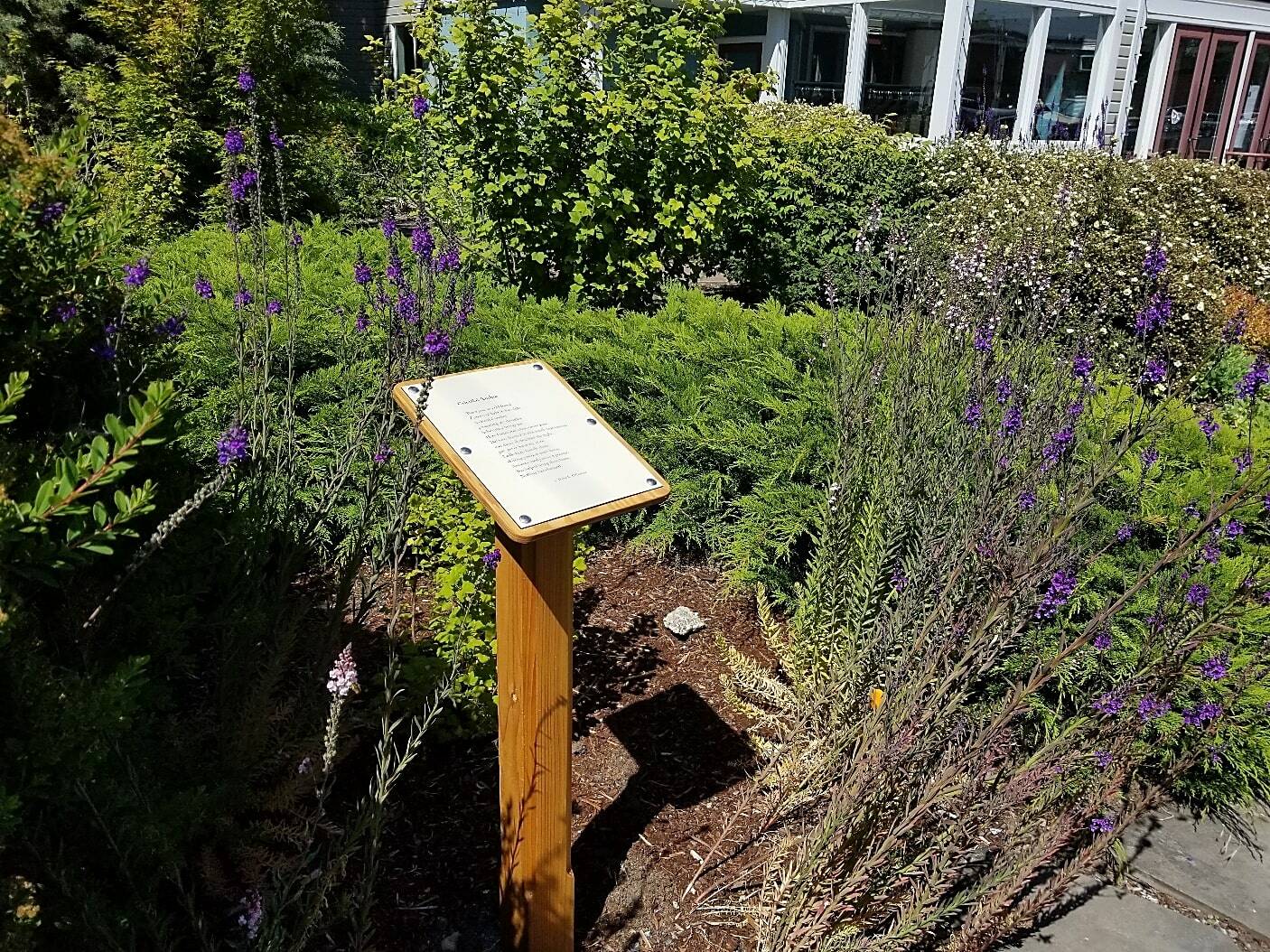 Poetry Garden Contest deadline is Halloween | The Journal of the San ...