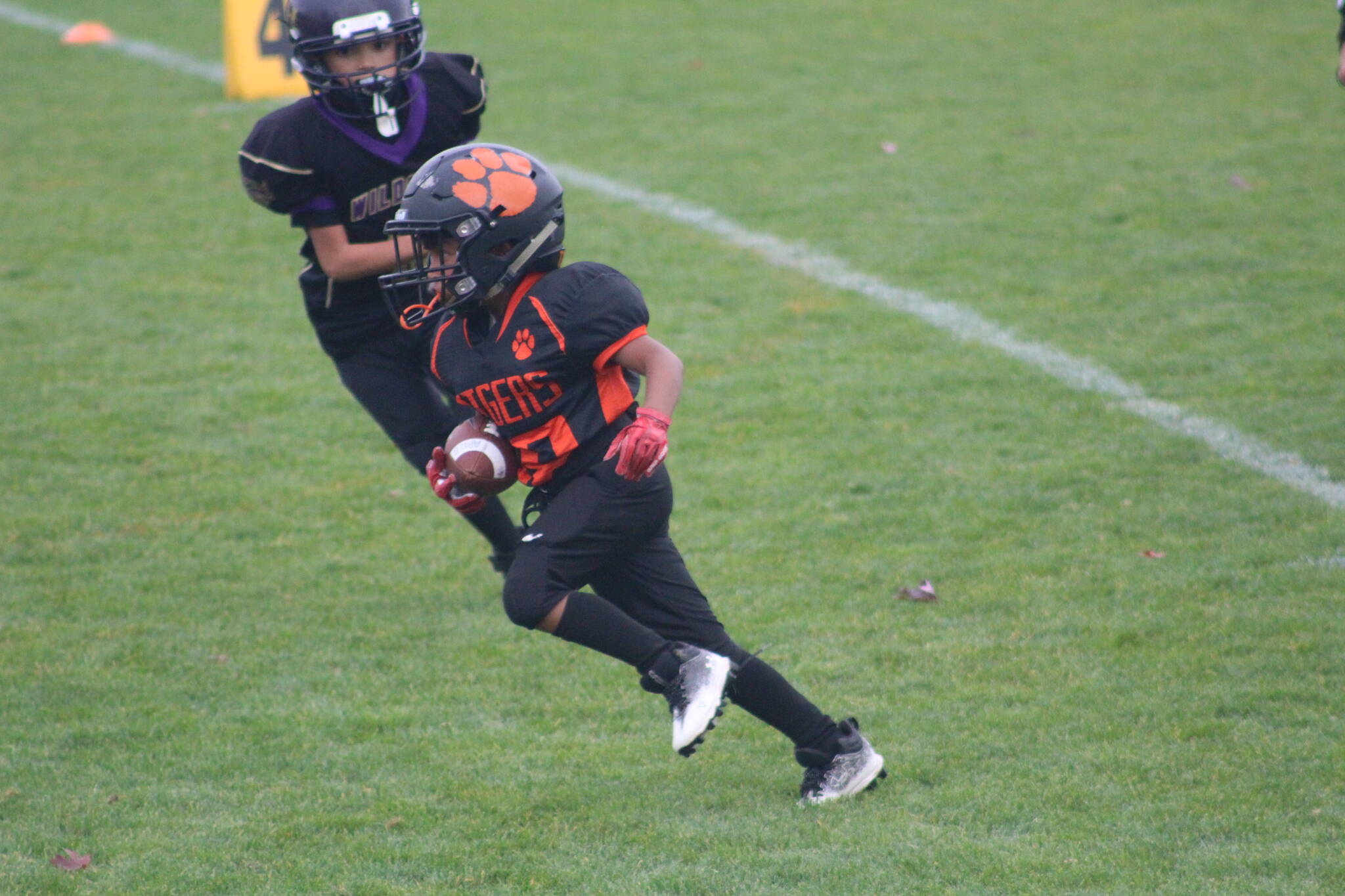 Tiger teams sweep first round of playoffs | The Journal of the San Juan ...