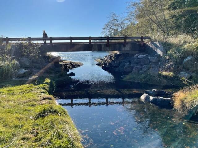 San Juan County’s Salmon | Part I: Cascade Creek | The Journal of the ...