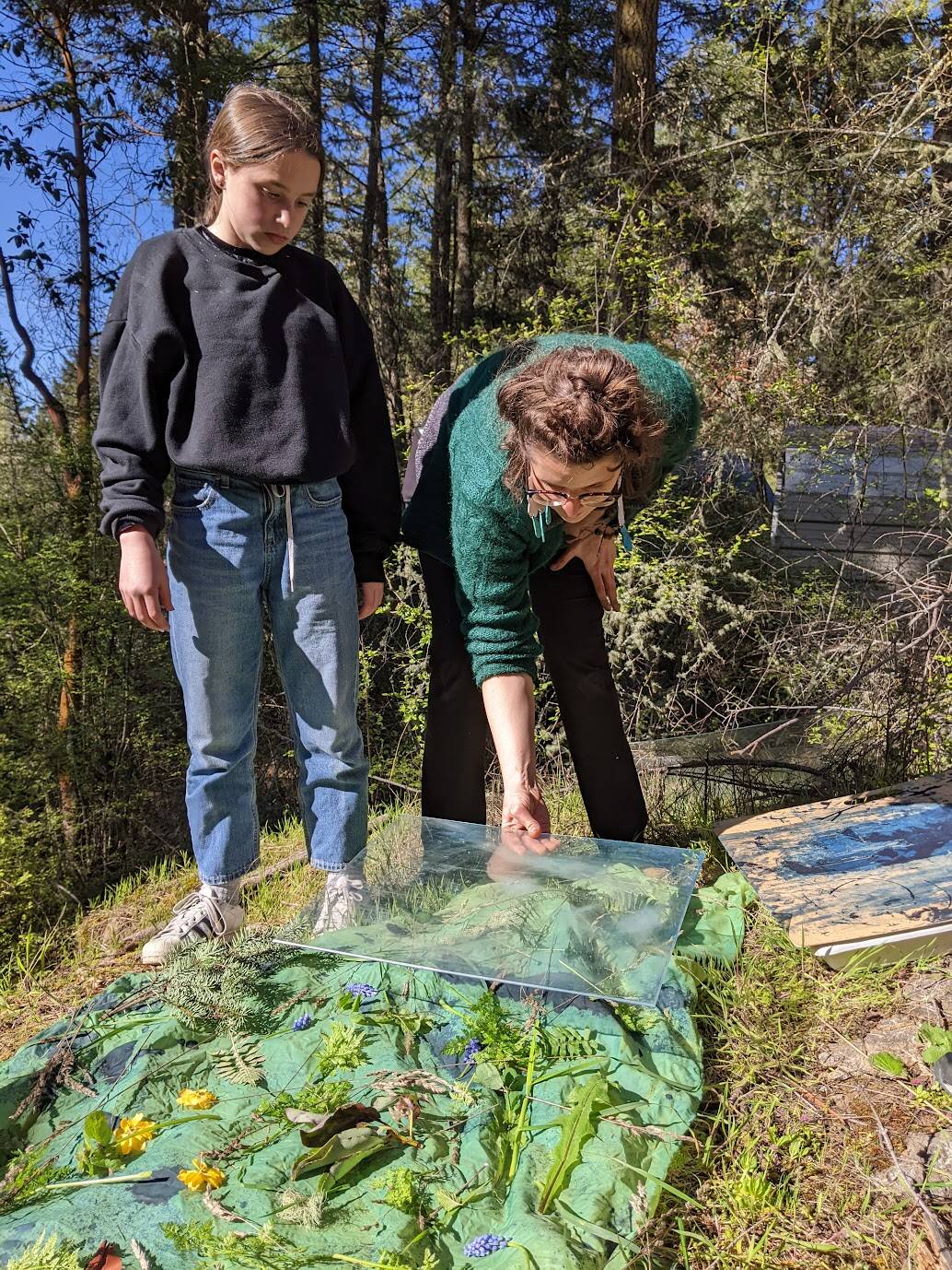 Young environmentalist program at Alchemy this spring | The Journal of ...