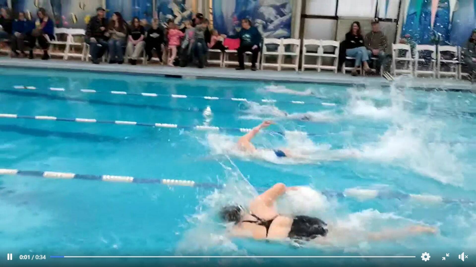 Friday Harbor swimmers make a splash | The Journal of the San Juan Islands