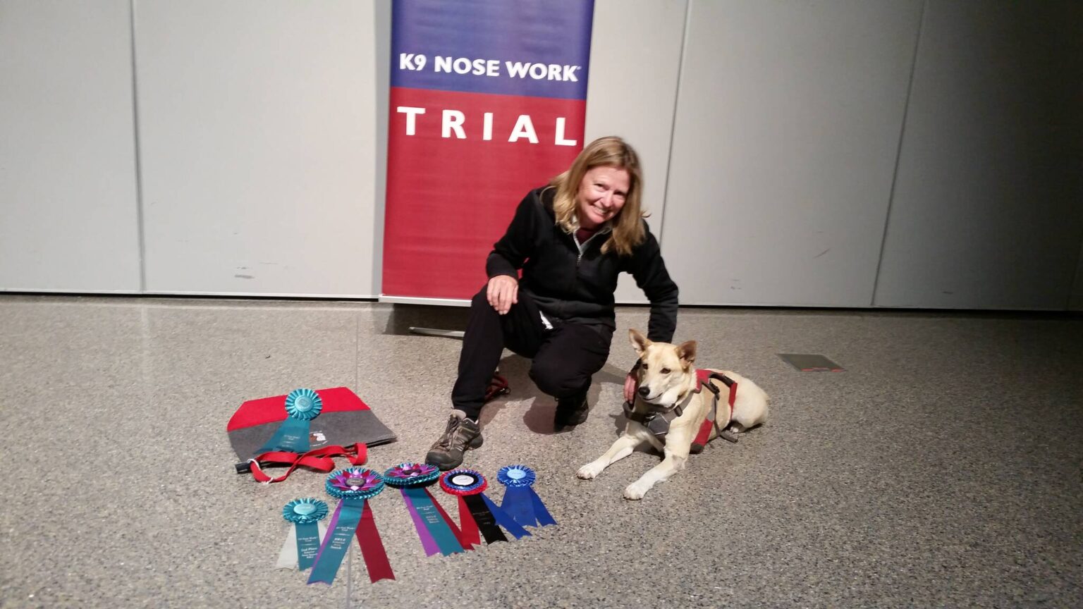 Local dog trainer Lisa Holt and Dr. Mandy Gulla present at WANP ...