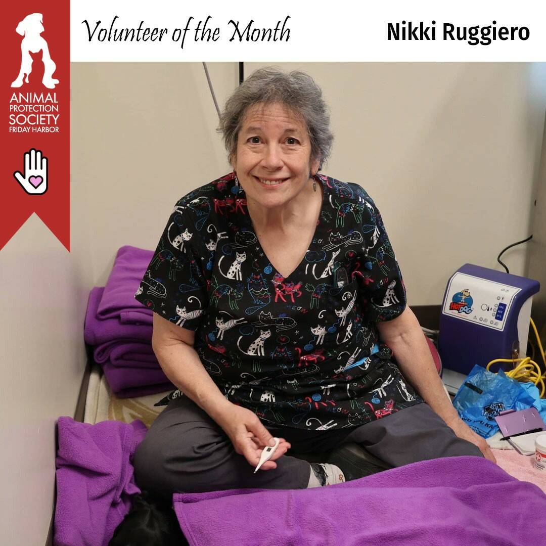 Nikki Ruggiero is ASP-FH July volunteer of the month | The Journal of ...