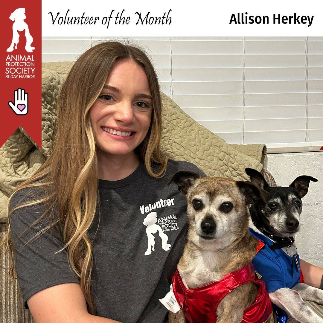 APS-FH honors Allison Herkey as Volunteer of the month of October | The ...