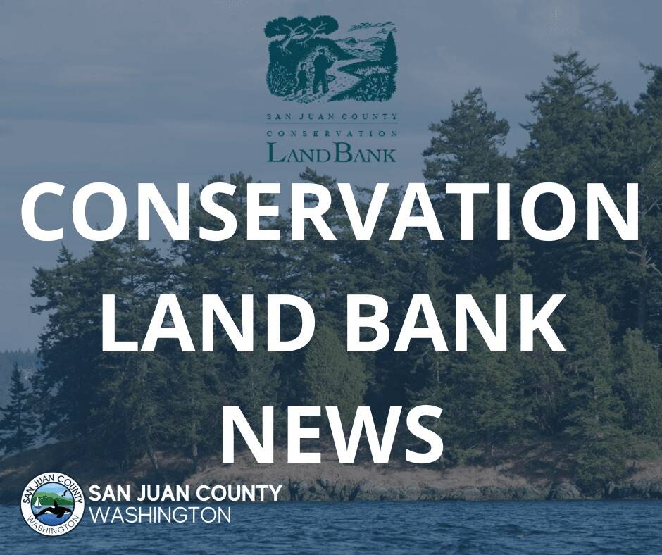 Land Bank Draft Strategic Plan open for public comment | The Journal of ...
