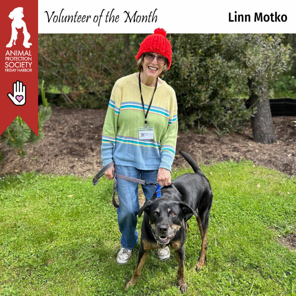 May 2024 “Volunteer of the Month” Linn Motko | The Journal of the San ...