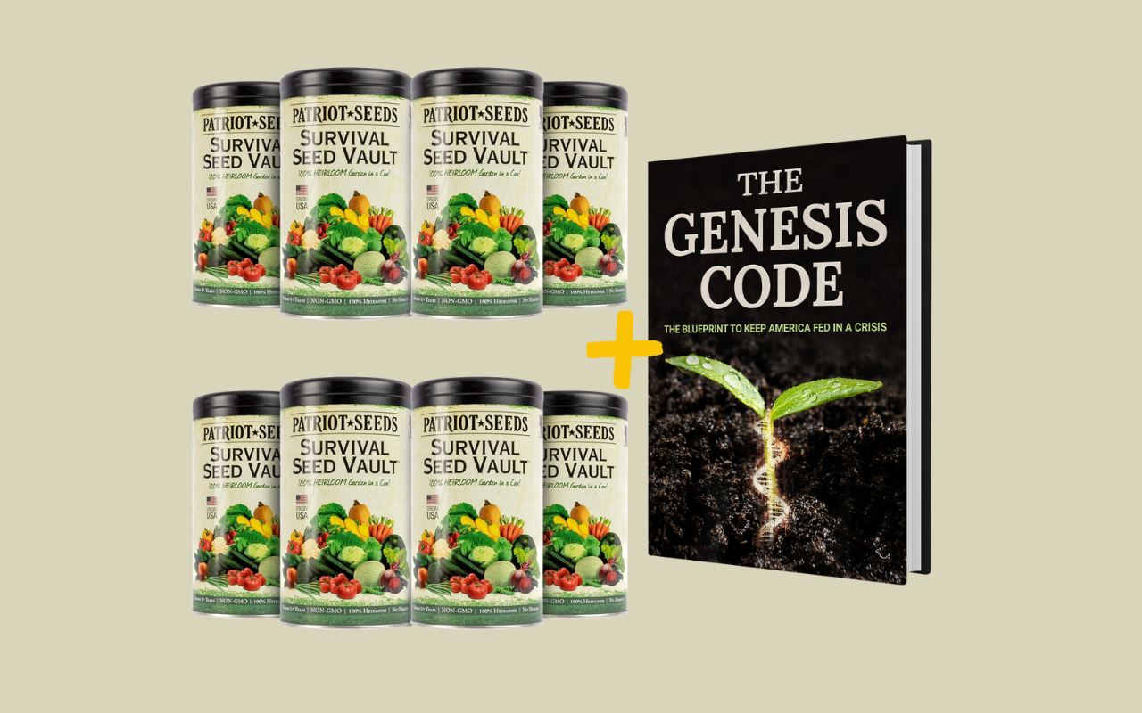 Genesis Code Review: Everything You Need To Know About The Patriot ...