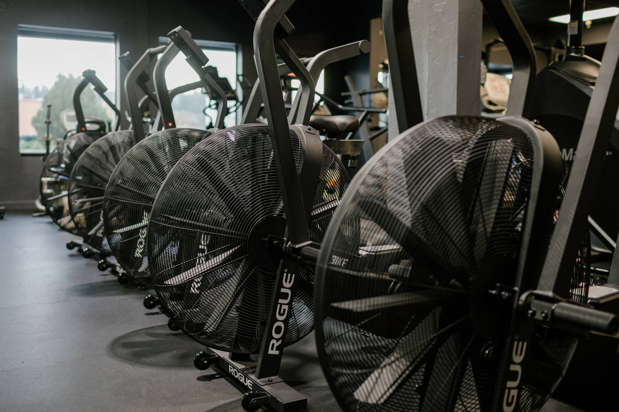 The Rec: New owners, new look, new offerings | The Journal of the San ...