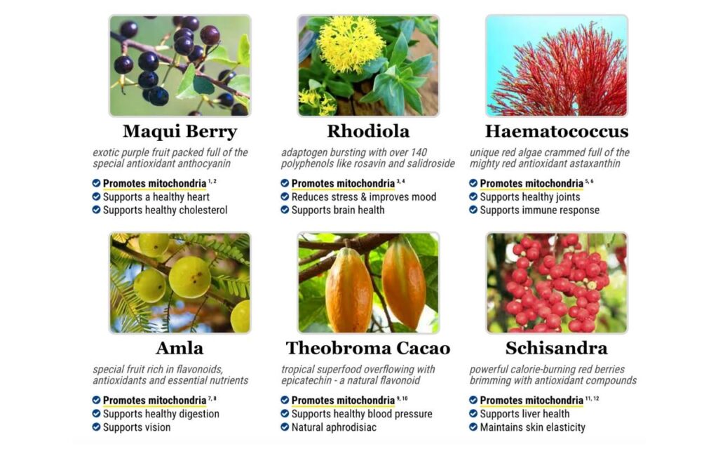 You Won’t Believe My Results with Mitolyn: Dr. Andrew Lambert’s Purple Peel Exploit Revealed ...