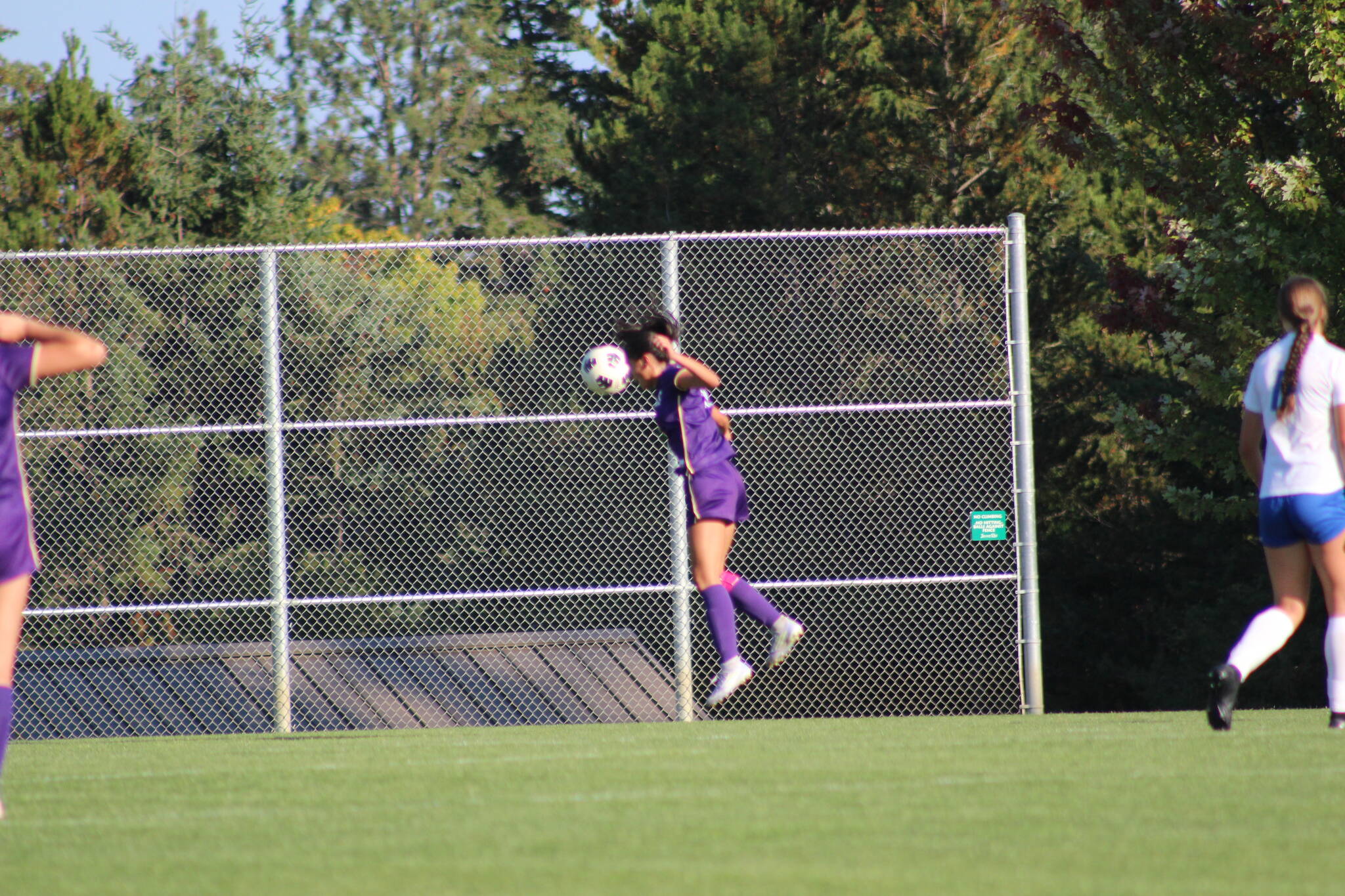 Wolverines roundup | The Journal of the San Juan Islands